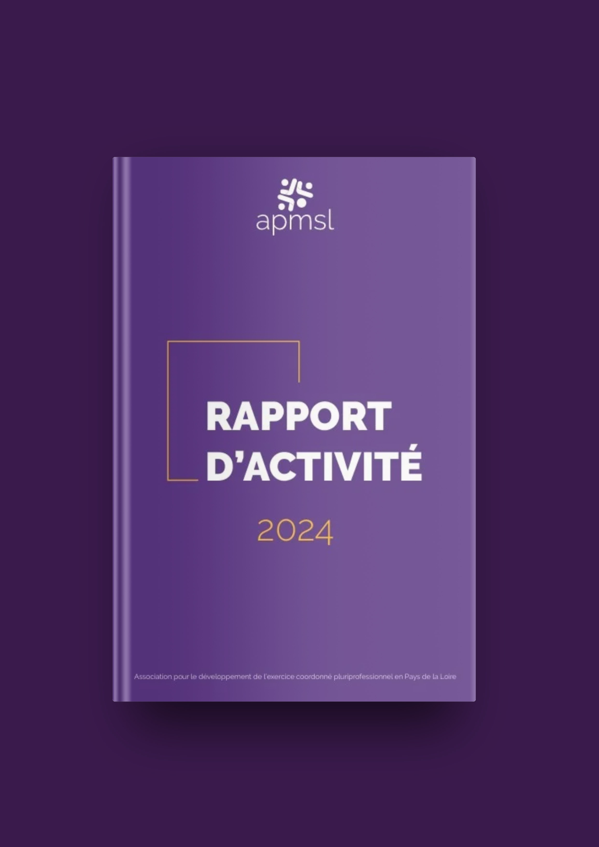 Le rapport d’activité 2024 de l’APMSL est disponible ! | APMSL - Association pour le ...